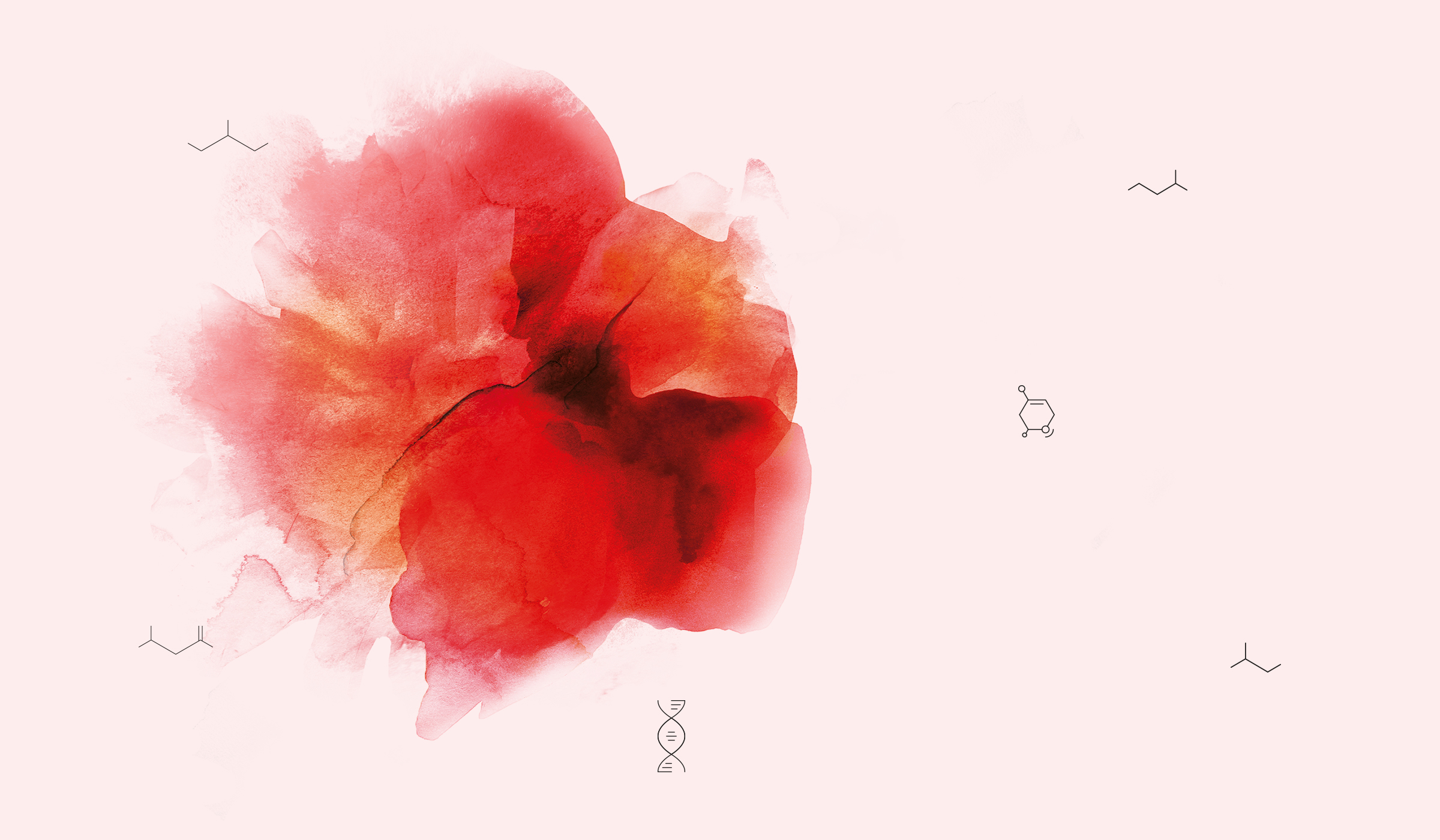 ISIPCA - Territoire de marque - Thalamus, agence de communication